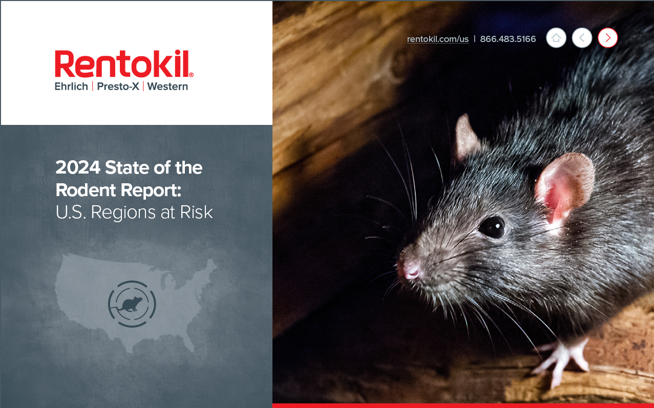 Rentokil: 2025 State of the Rodent Report